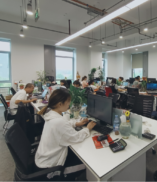 Custom 2u Poweredge R750 Dell GPU Server Cabinet Rack Server